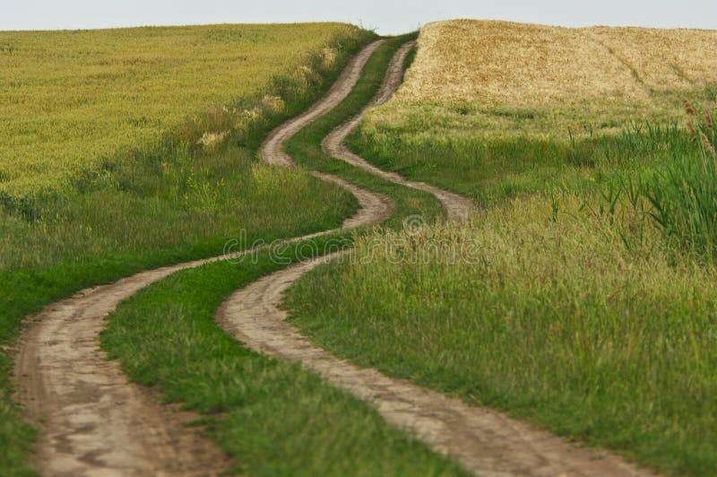 Abstract rural scenery stock image. Image of field, outdoor - 24650167