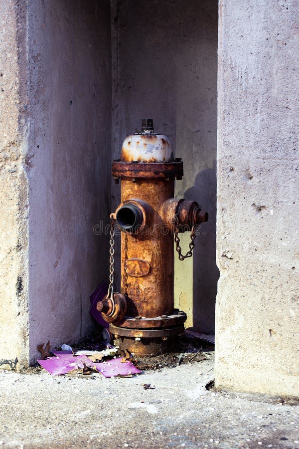 Abstract Rusted Fire Hydrant Portrait with Purple Color Accents Stock ...