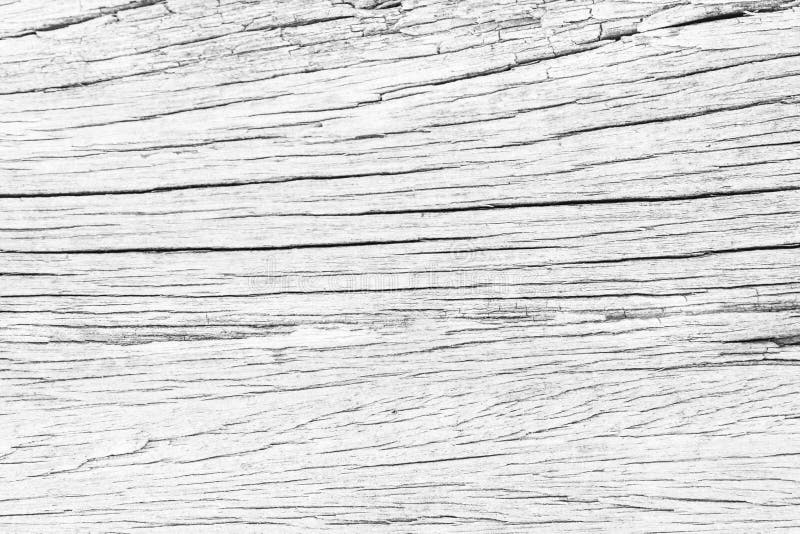Abstract Rustic Surface White Wood Table Texture Background. Close Up ...