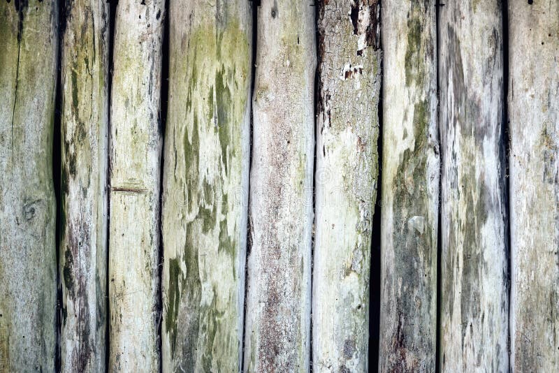 Abstract Rustic Wooden Log Background Texture, Design Pattern Stock ...