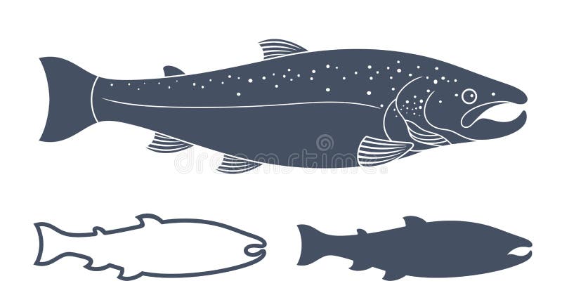 Abstract Salmon stock vector. Illustration of fish, element - 77140735