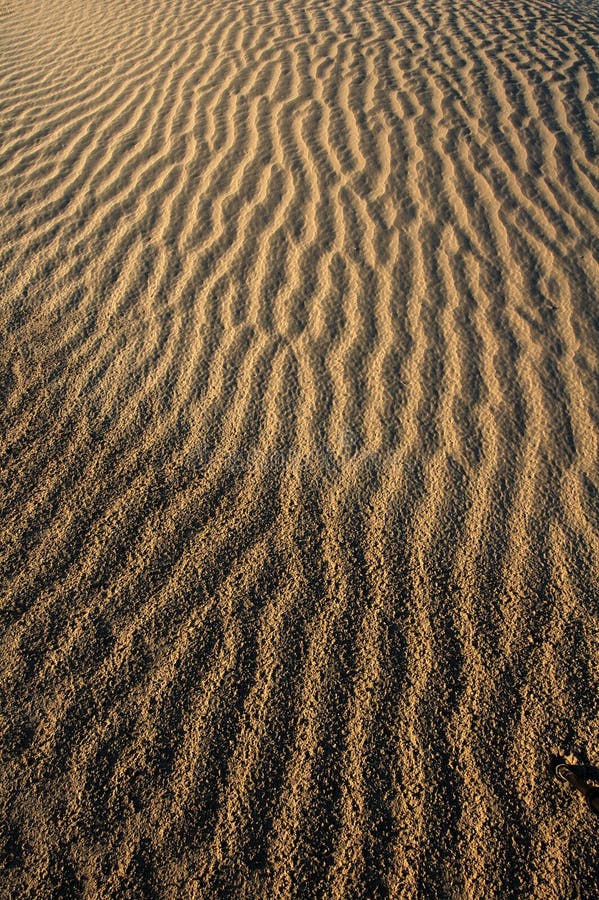 Abstract Sand Backgound: Vertical Stock Image - Image of desert, ripple ...