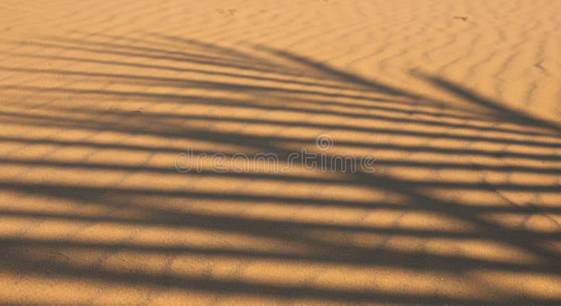 Abstract Sand Dune Texture with Shadow Patterns Stock Photo - Image of ...