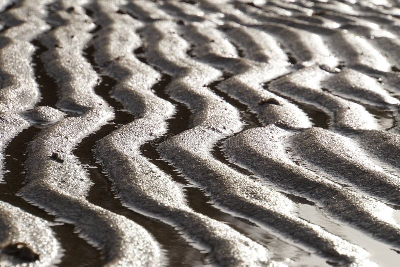 Sand lines stock photo. Image of desert, element, outdoor - 13858812