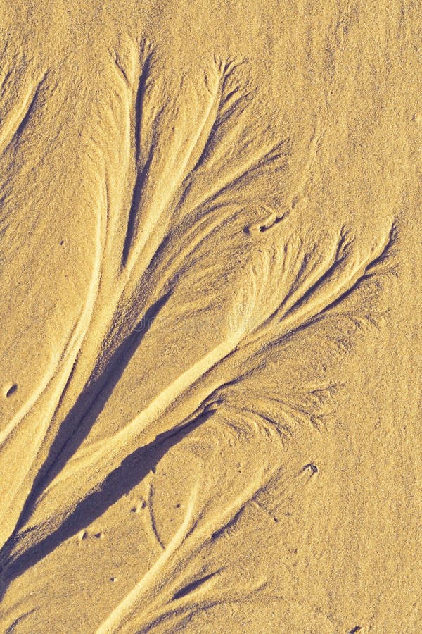 Abstract Sand Color Background Marble Pattern Interiors Wall Design ...