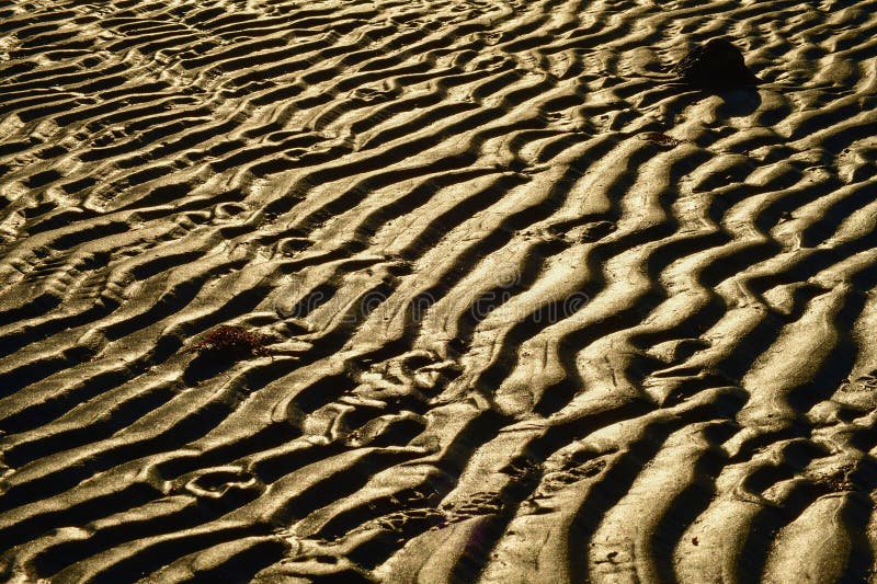 Abstract Sand stock photo. Image of texture, copy, norway - 359106254