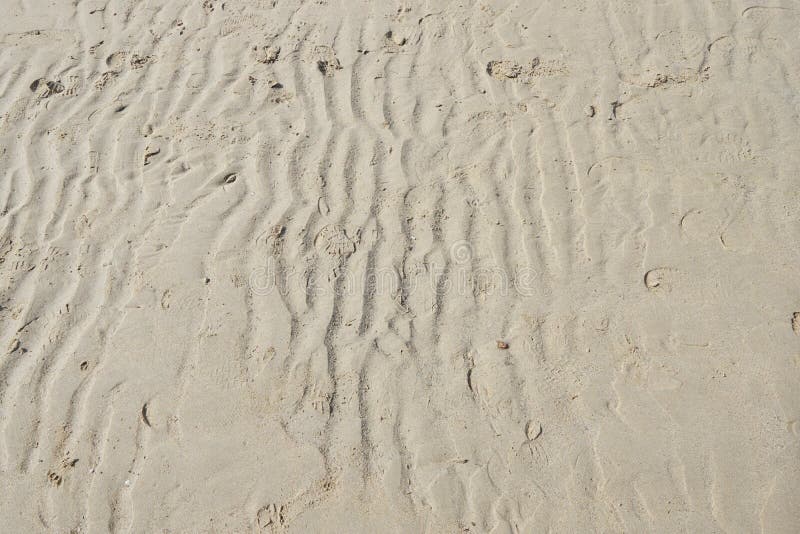 Abstract, Sand Texture Abstract Background. Sandy Beach for Background ...