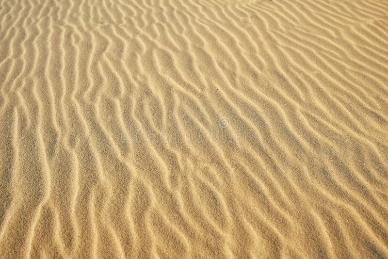 Abstract Sand Texture Background Wave Lines Template Backdrop Stock ...