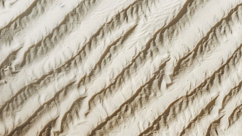 Abstract Sandy Sea on the Beach with Intricate Wave Textures in the ...