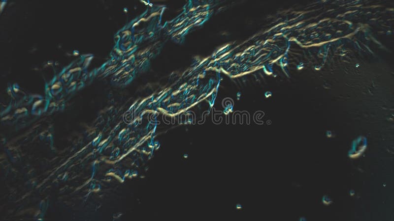 Abstract Scientific Animation of Insect Under Microscope with Glassy ...