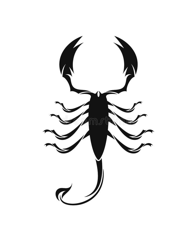 Scorpion. Animal stock vector. Illustration of banner - 85978850