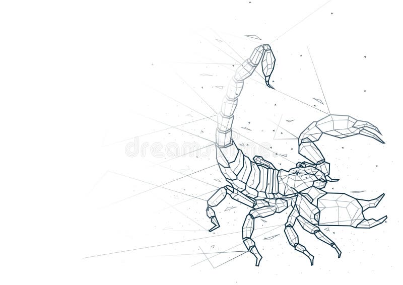 Abstract Scorpion Low Poly Wireframe Stock Vector - Illustration of ...