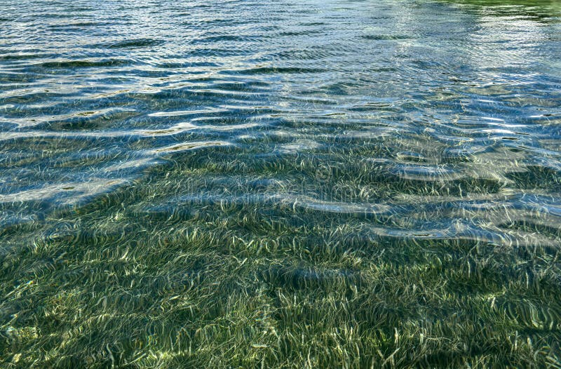 Abstract Sea Background, Views on the Rippled Water Surface, Underwater ...