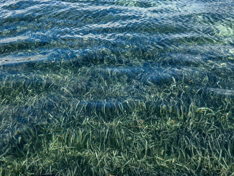 Abstract Sea Background, Views on the Rippled Water Surface, Underwater ...