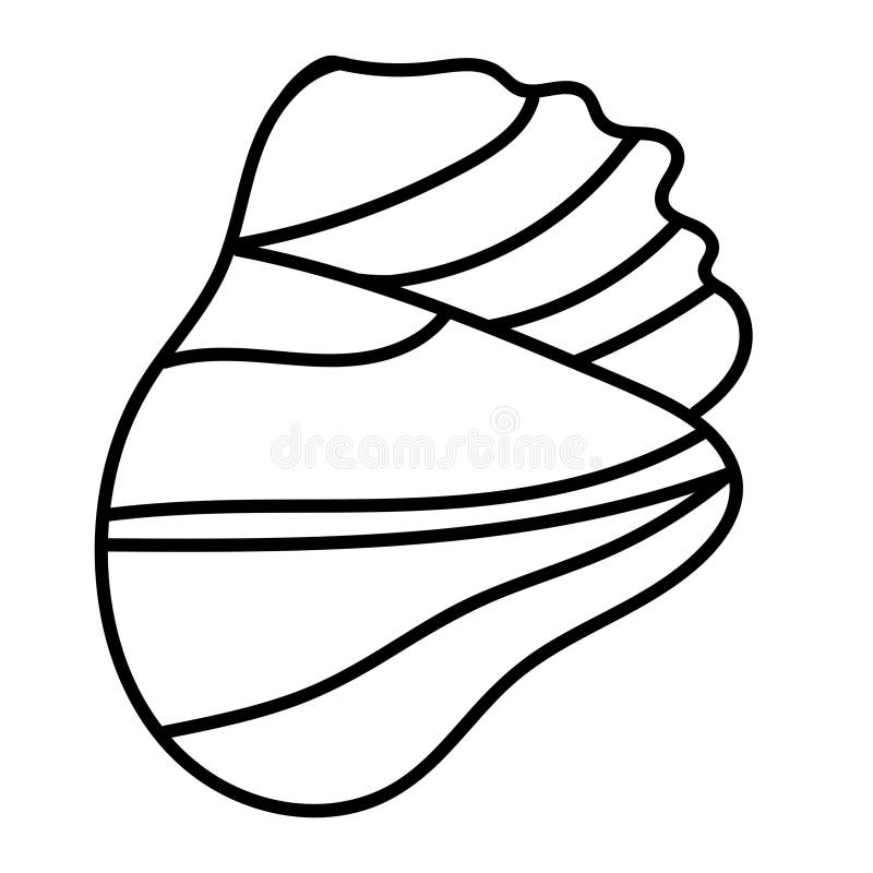 Abstract Sea Shell Drawing with Fine, Modern Lines Stock Vector ...