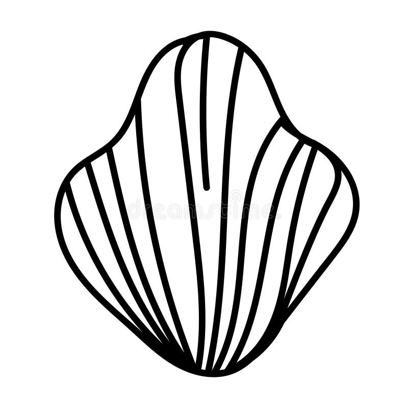 Abstract Sea Shell Drawing with Fine, Modern Lines Stock Vector ...