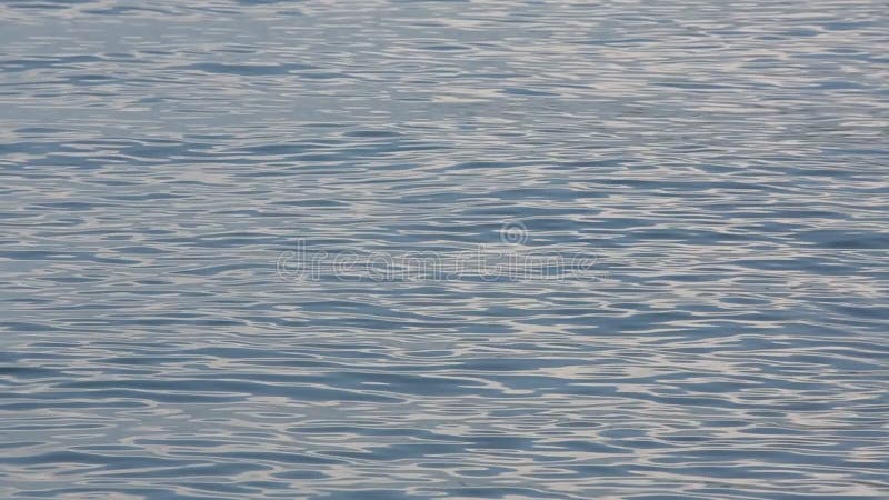 Abstract sea water ripple stock video. Video of pattern - 64009243