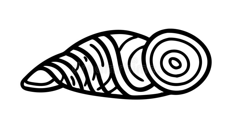 Abstract Seashell Swirl Vector Graphic for Nature and Ocean, Vector ...