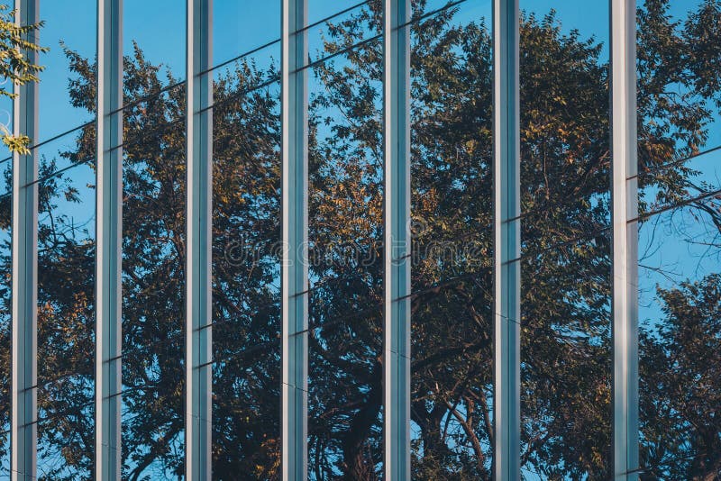 Abstract Section of a Modern Building with a Glass Facade in Which a ...
