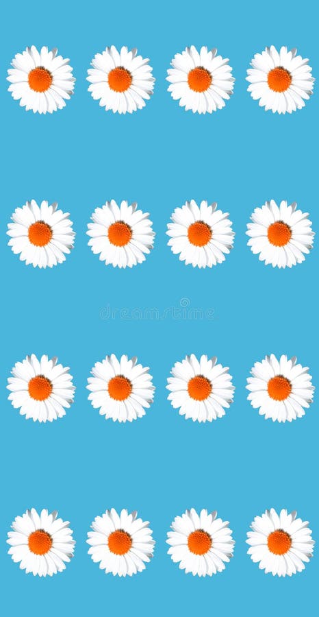 Abstract and Contemporary Selective Colour Floral Daisy Design Stock ...