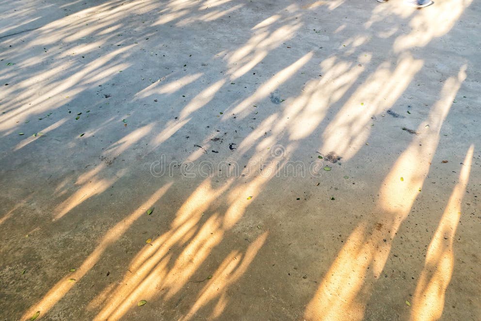 Abstract Selective Focus Gray Wall Texture Background for Empty Space ...