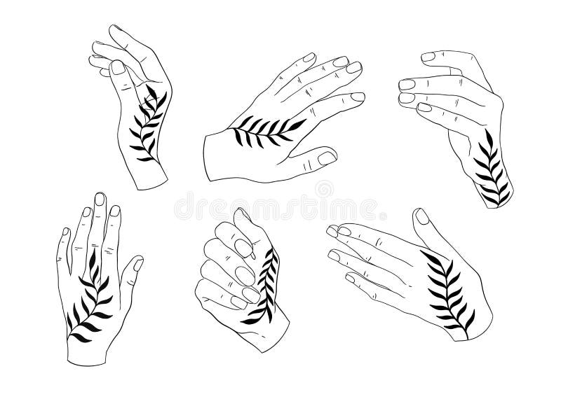 Abstract Set Hand.Line Art Women Creative,drawing Sketch Stock ...