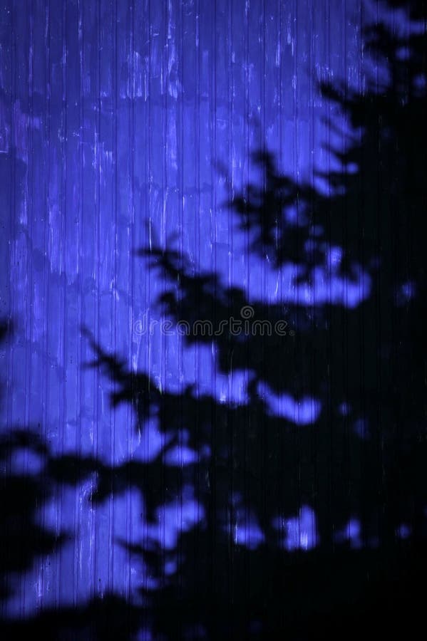 Abstract shade tree stock image. Image of texture, background - 46318717