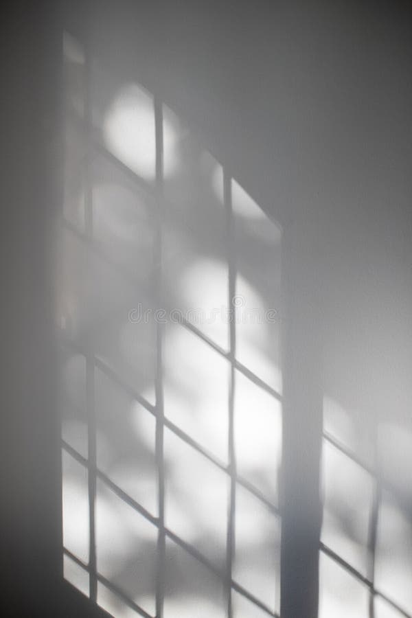 Abstract Shadow Background of Leaves and Window from Sunlight on White ...