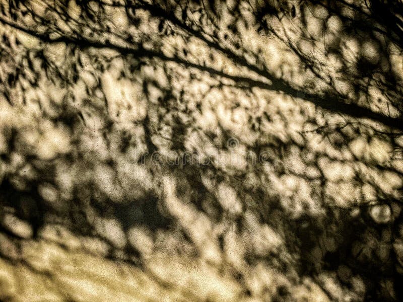 Abstract Shadow Background of Natural Stock Photo - Image of blurred ...