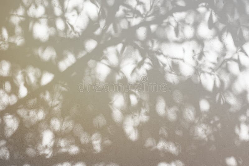 Abstract Shadow Background of Natural Leaves Tree Stock Image - Image ...