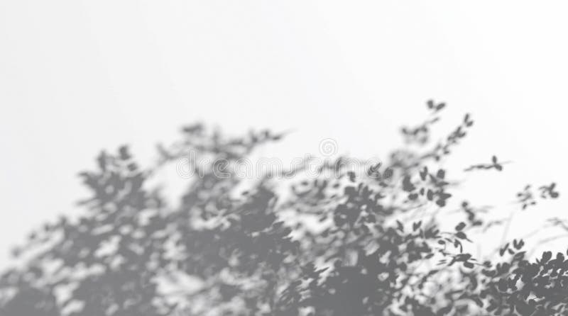 Abstract Shadow Bush Branches on Wind Background Stock Illustration ...