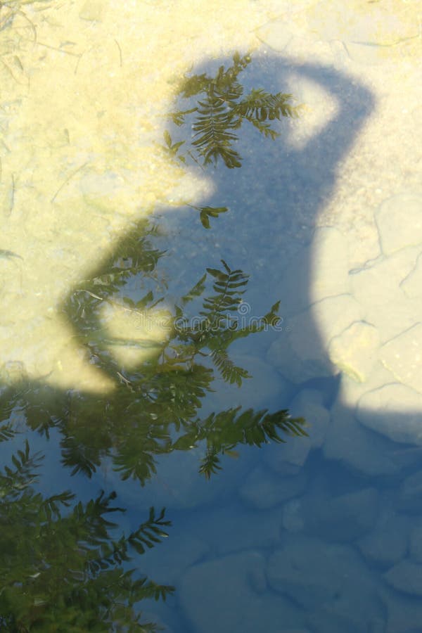 Abstract shadow in water stock photo. Image of leaf - 123606722