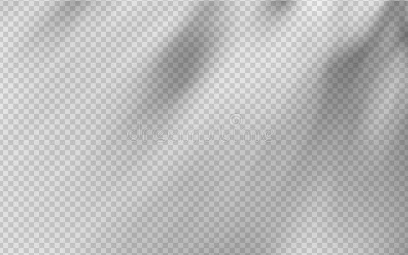 Abstract Shadow Overlay from Foliage on a Transparent Background. Stock ...