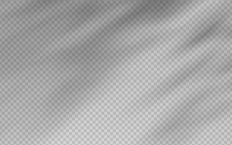 Abstract Shadow Overlay from Foliage on a Transparent Background. Stock ...