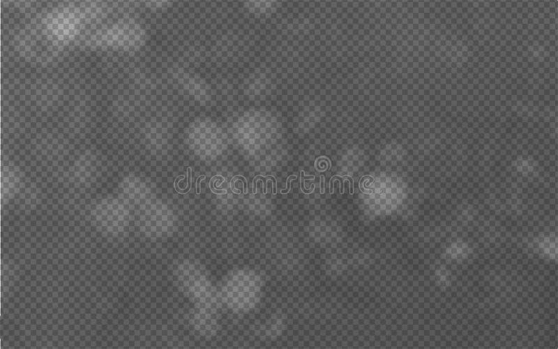 Abstract Shadow Overlay from Foliage on a Transparent Background. Stock ...