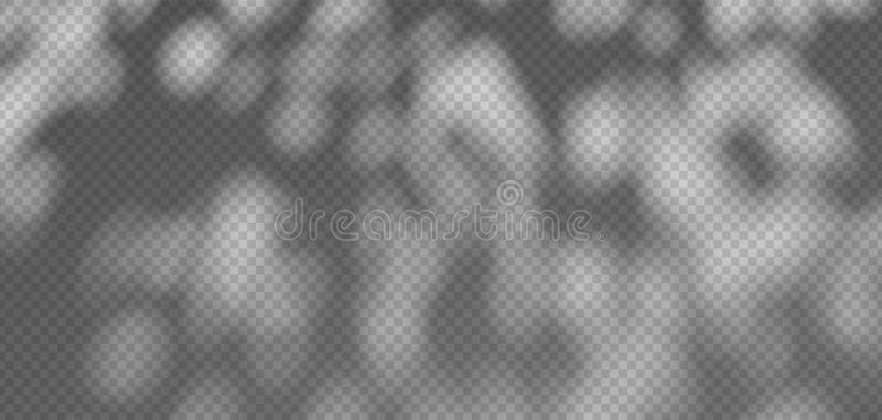 Abstract Shadow Overlay from Foliage on a Transparent Background. Stock ...