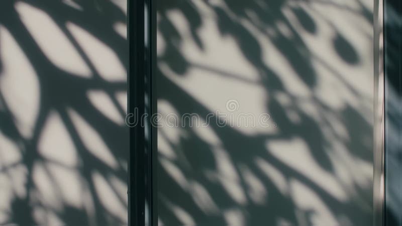 Abstract Shadow Patterns Dance Across Vertical Panels in Motion Stock ...