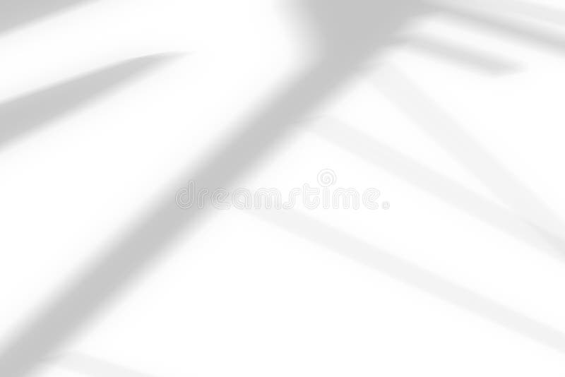 Abstract Shadow and Striped Diagonal Light Background on White Wall ...