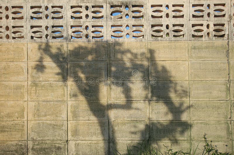Evening Tree Reflection Authentic Nature and Minimalist Texture. Stock ...
