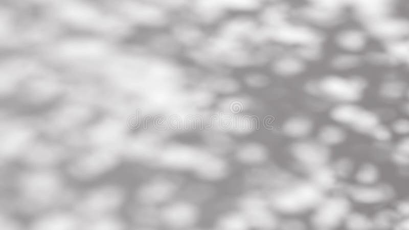 Abstract Shadow Tree on Wind Background, Boho Effect, Looped Animation ...