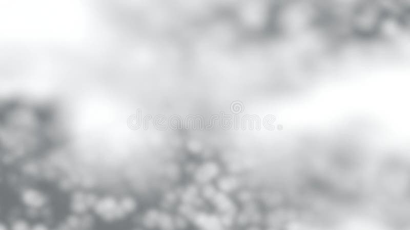 Abstract Shadow Tree on Wind Background, Bokeh Effect, Looped Animation ...
