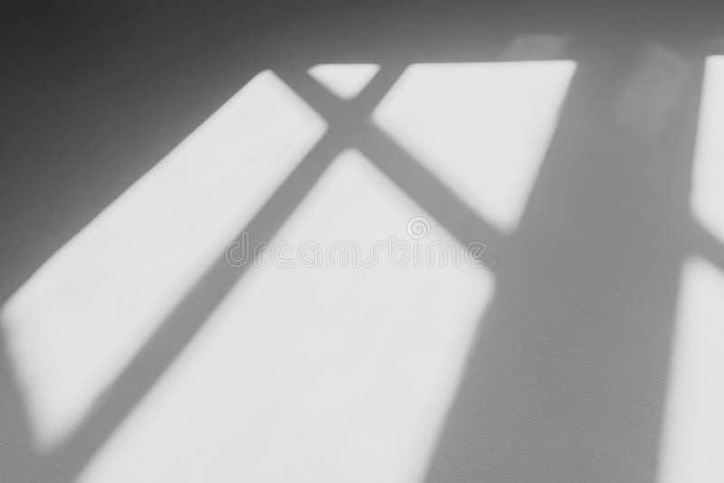 Shadow of the Window in Morning Light on White Wall Texture Background ...