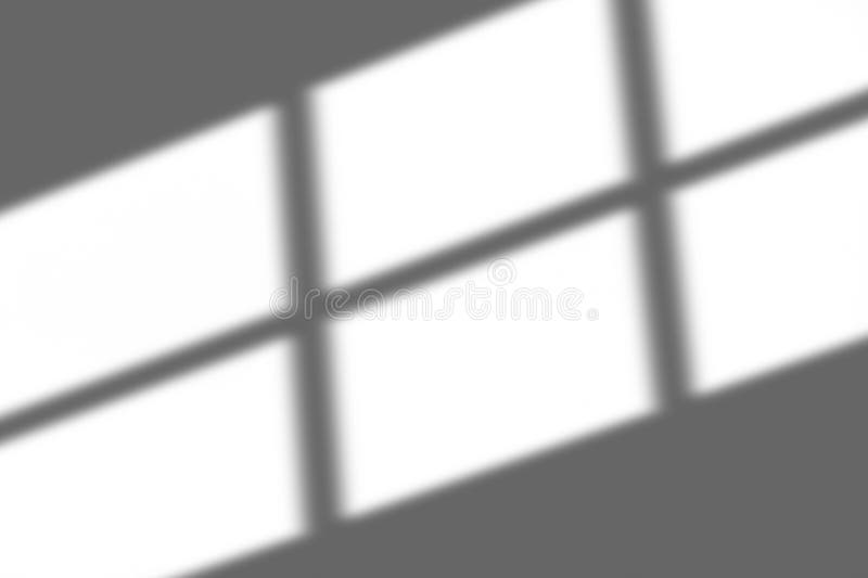 Abstract Shadow of the Window in Morning Light on White Wall Texture ...
