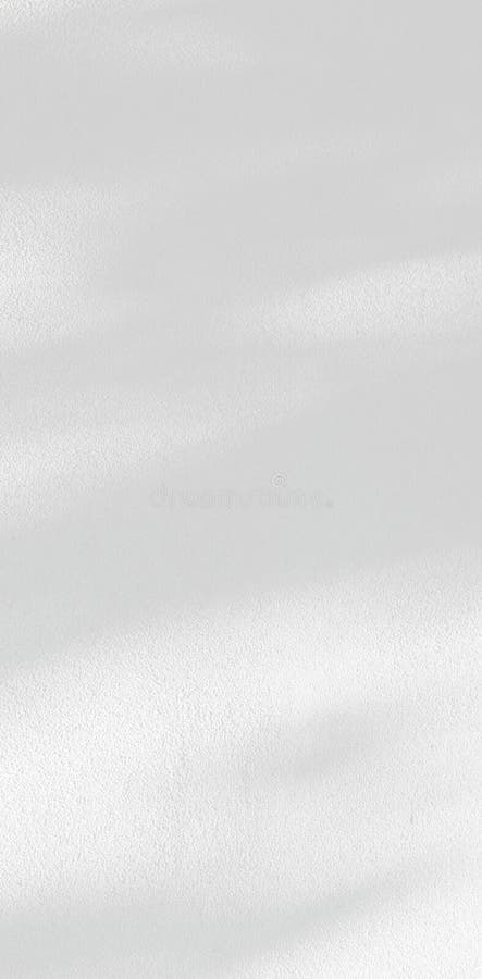 Abstract Shadows Nature. Gray Shadows Trees Leaf. Stock Photo - Image ...