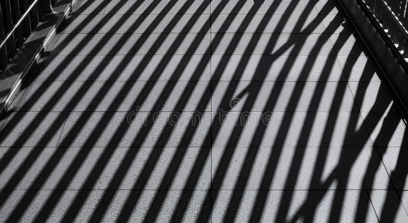Abstract Shadows of Railing on Gray Pavement Create Striking Pattern ...