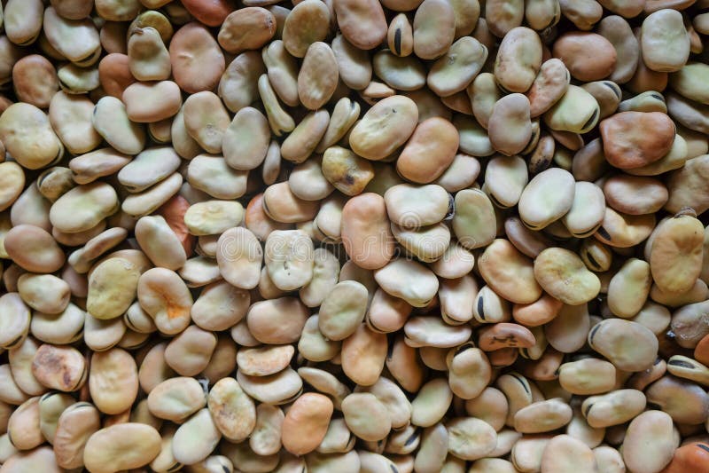 Abstract Shape of Big Beans Stock Photo - Image of vegetarian, snack ...