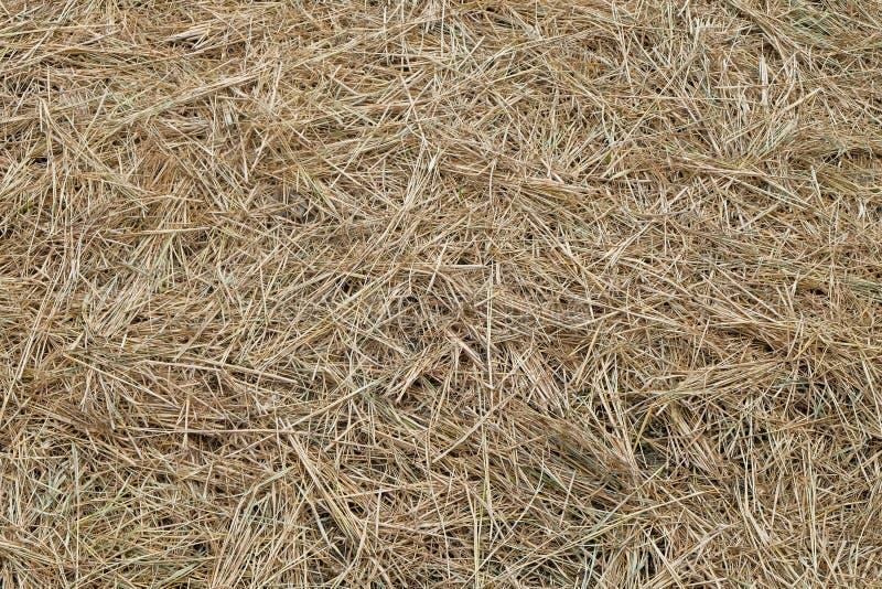 Abstract Shapes, Patterns and Textures of Dry Straw Stock Image - Image ...