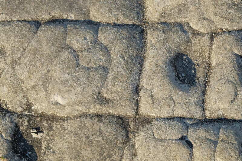 The Abstract Shapes, Patterns and Textures of Hard Soil Resemble Rocks ...