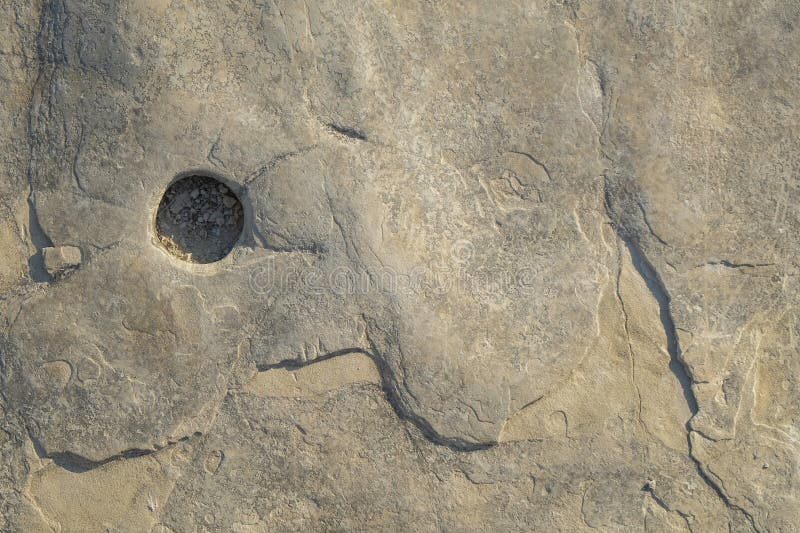 The Abstract Shapes, Patterns and Textures of Hard Soil Resemble Rocks ...