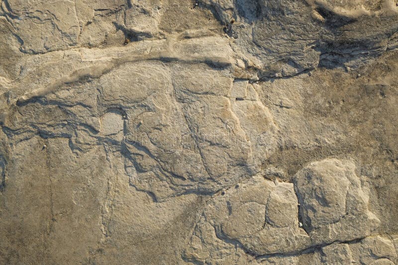 The Abstract Shapes, Patterns and Textures of Hard Soil Resemble Rocks ...